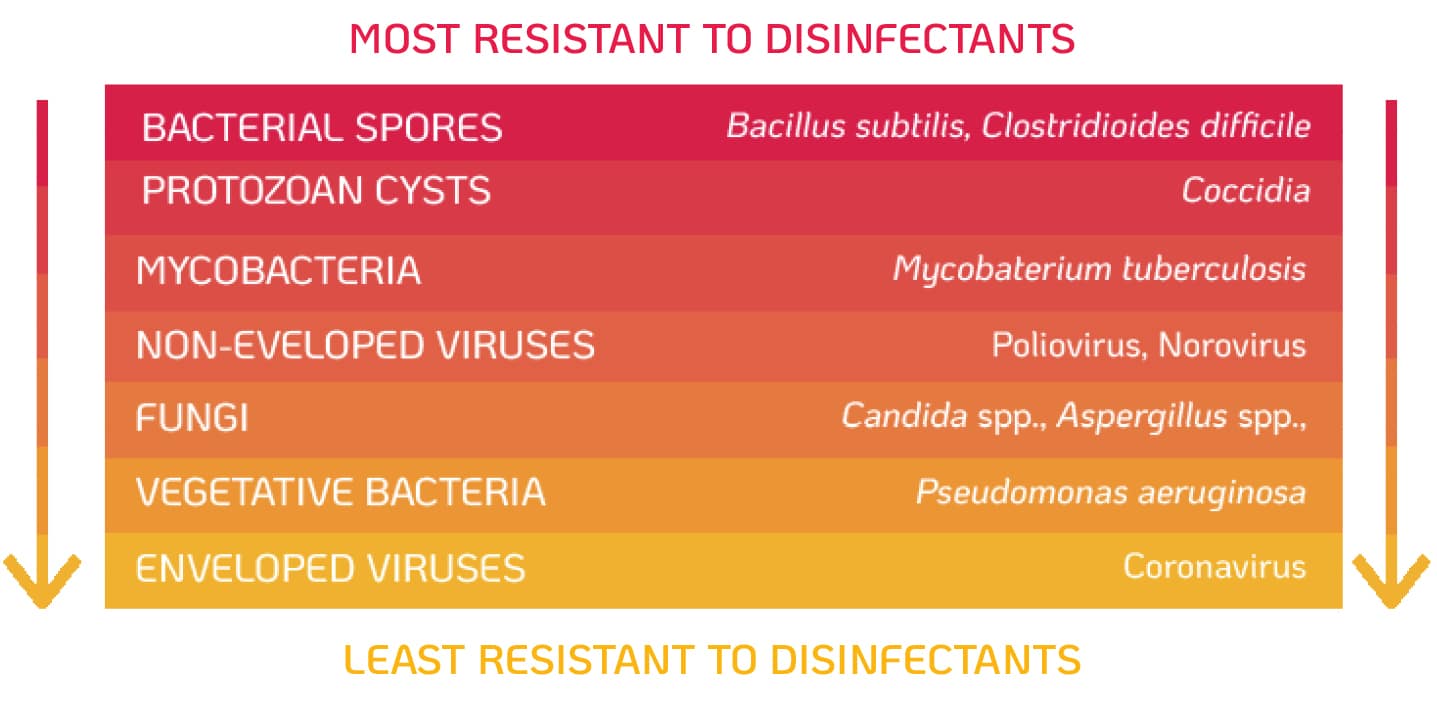 High Level Disinfection on TVUS Probes | Latest News