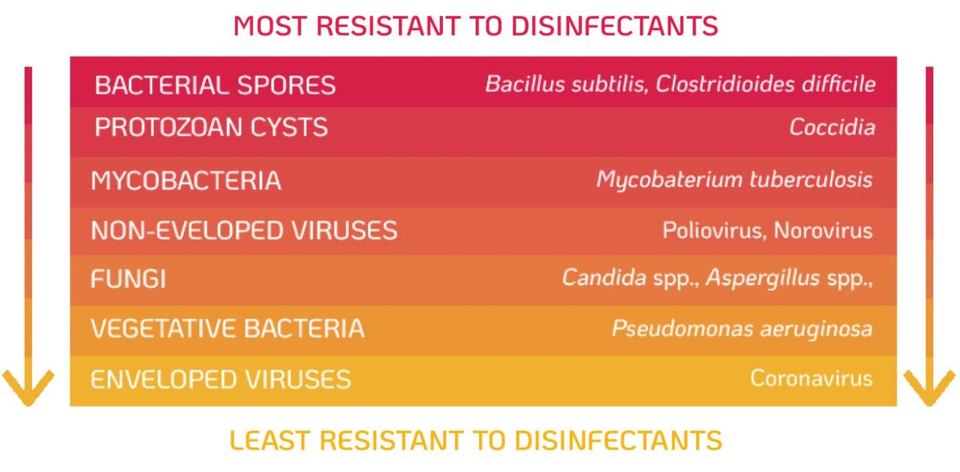 The Importance of High-Level Disinfection on Transvaginal Ultrasound ...