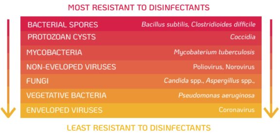 The Importance of High-Level Disinfection on Transvaginal Ultrasound ...