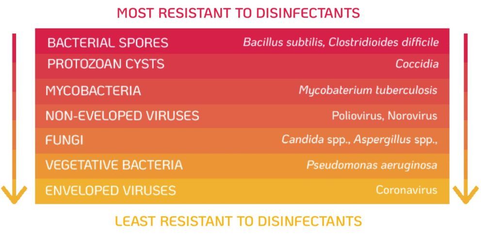 The Importance of High-Level Disinfection on Transvaginal Ultrasound ...