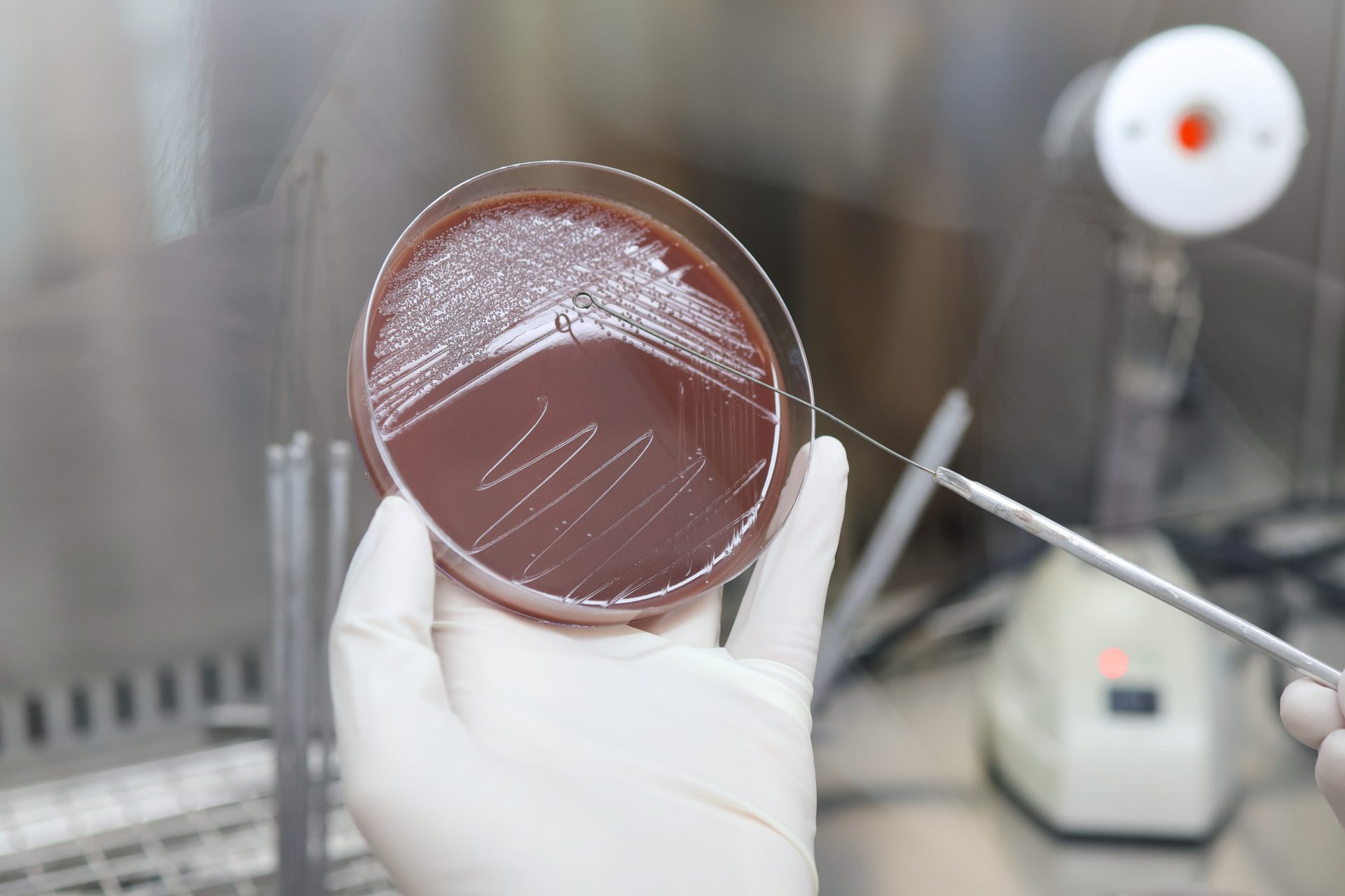 HAIs: Causes, Effects, and Prevention Strategies