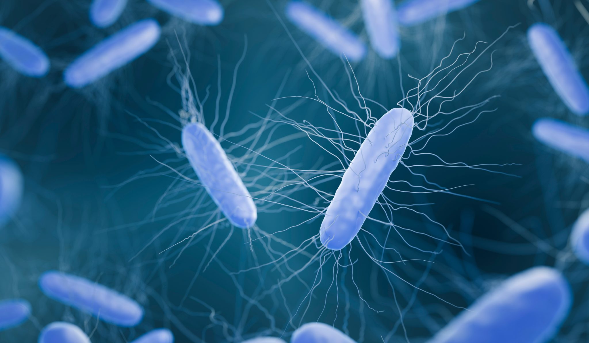 Clostridioides difficile: Causes and Prevention Tips